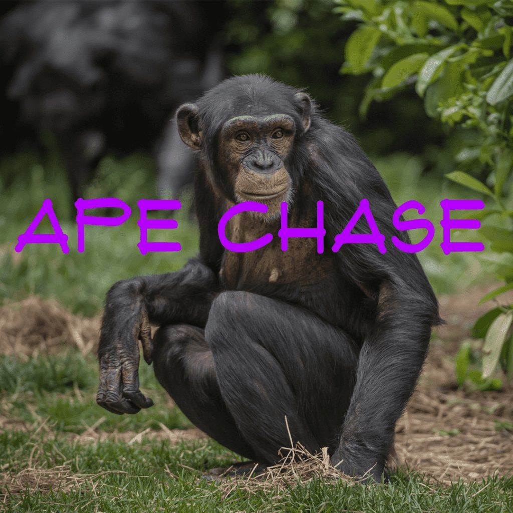 Ape Chase: ¡Bienvenido A La Persecución De Los Simios! ️ 2025 - ©Vive ...