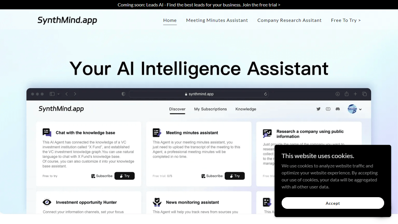 SynthMind ️ 2024 - ©Vive Virtual
